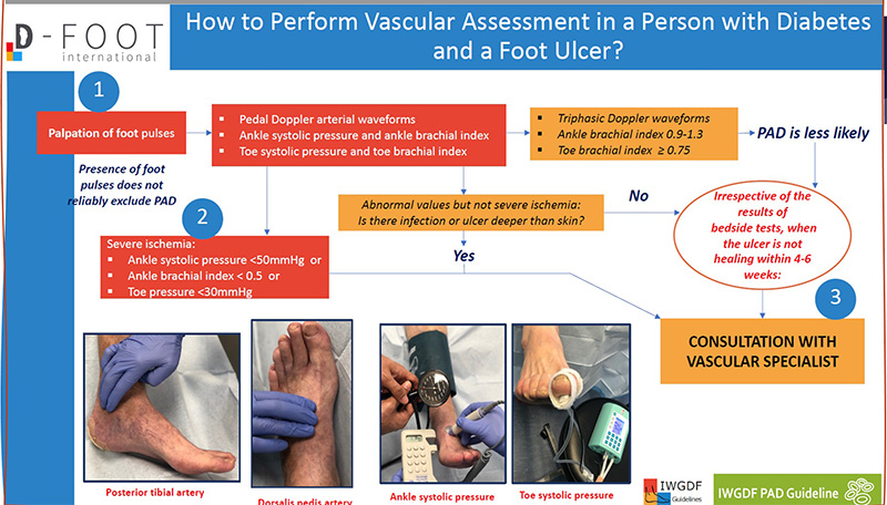 This Just In... - The Diabetic Foot 2024: Update on International and ...