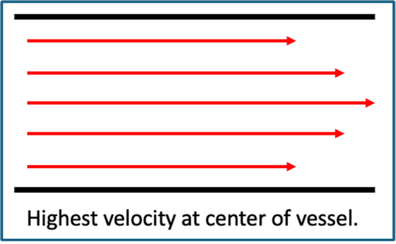 Practice Perfect 984 - Duplex Arterial Ultrasound for Podiatrists ...